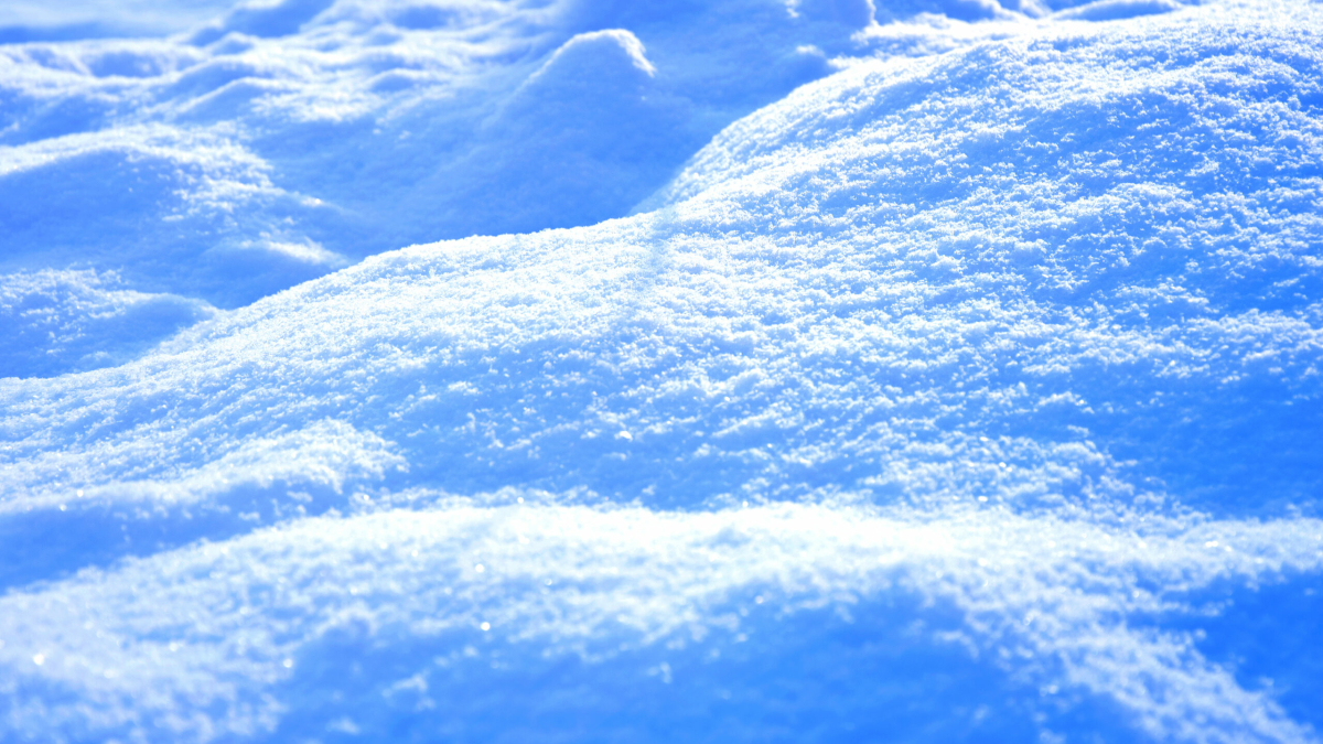 Коммунальщики Петербурга сражаются с полуметровыми сугробами - АБН 24